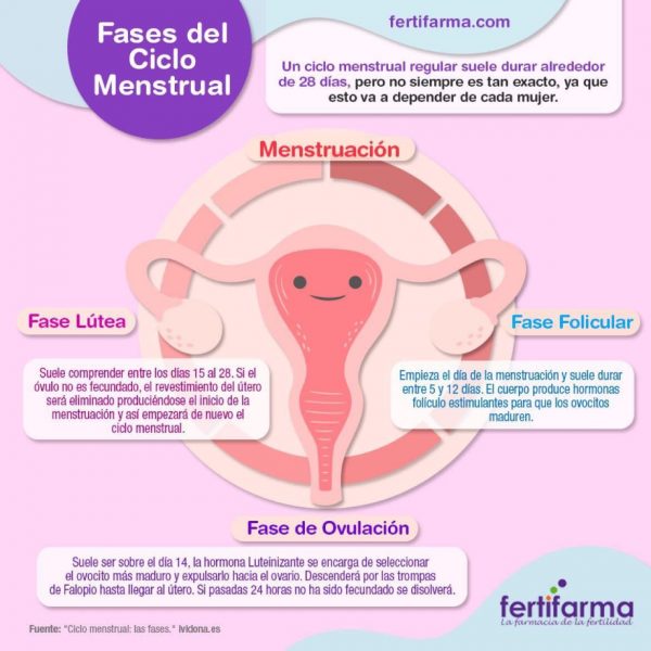 Todo lo que No sabías del Ciclo menstrual y tus días Fértiles
