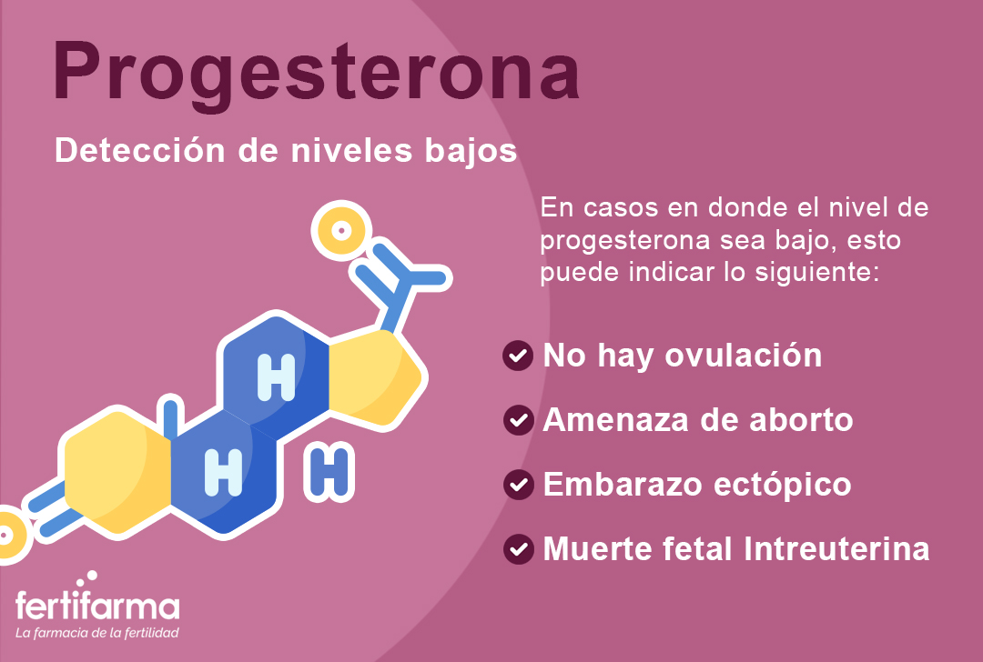 Qué es la Progesterona. Guía Completa