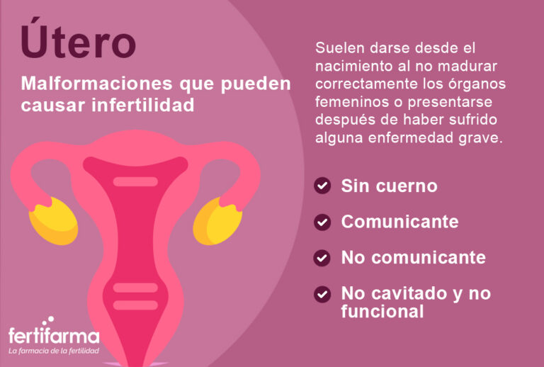 Útero en Anteversión. Causas, Síntomas y Tratamiento
