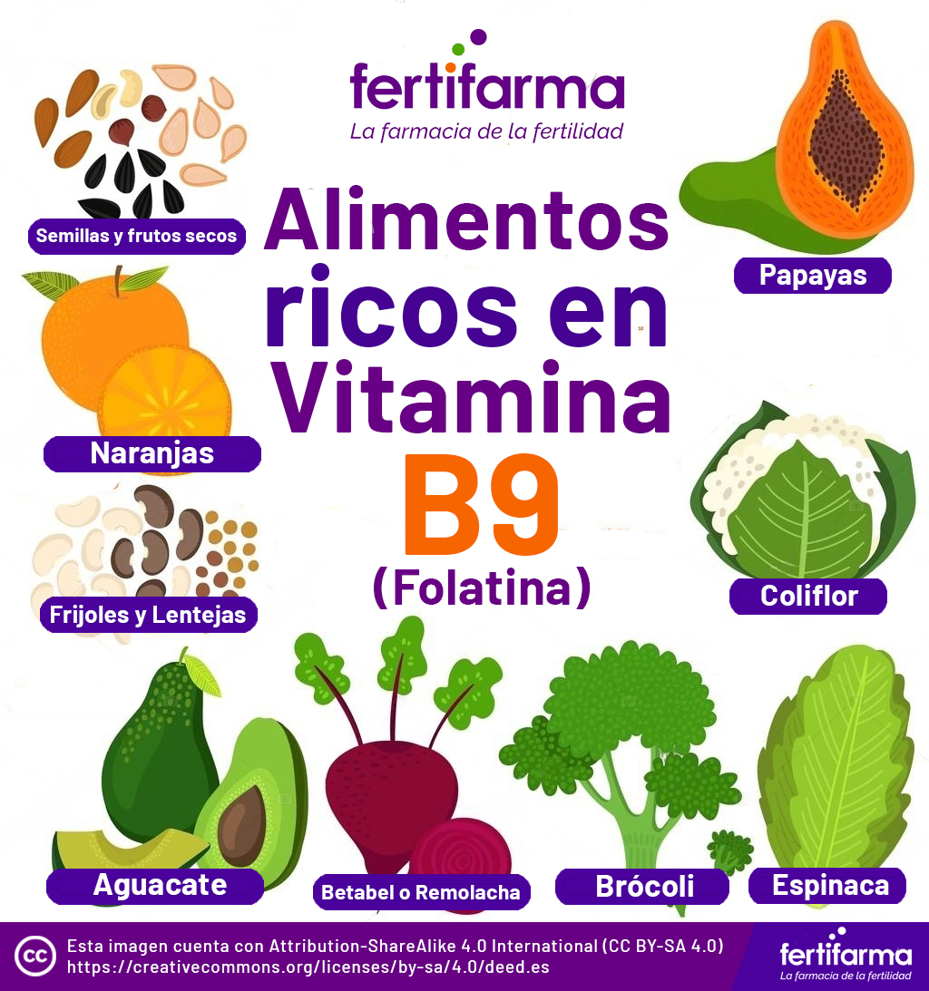 Ácido Fólico y Fertilidad Femenina