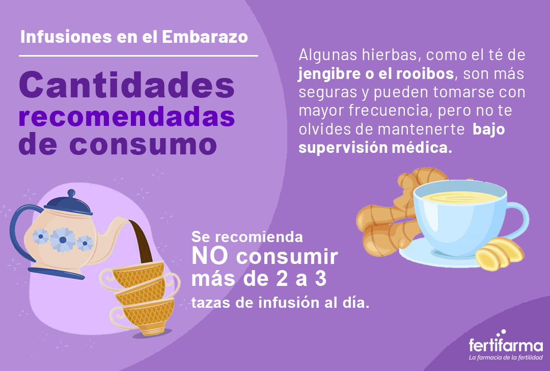 Infusiones y embarazo: Cuáles son seguras tomar